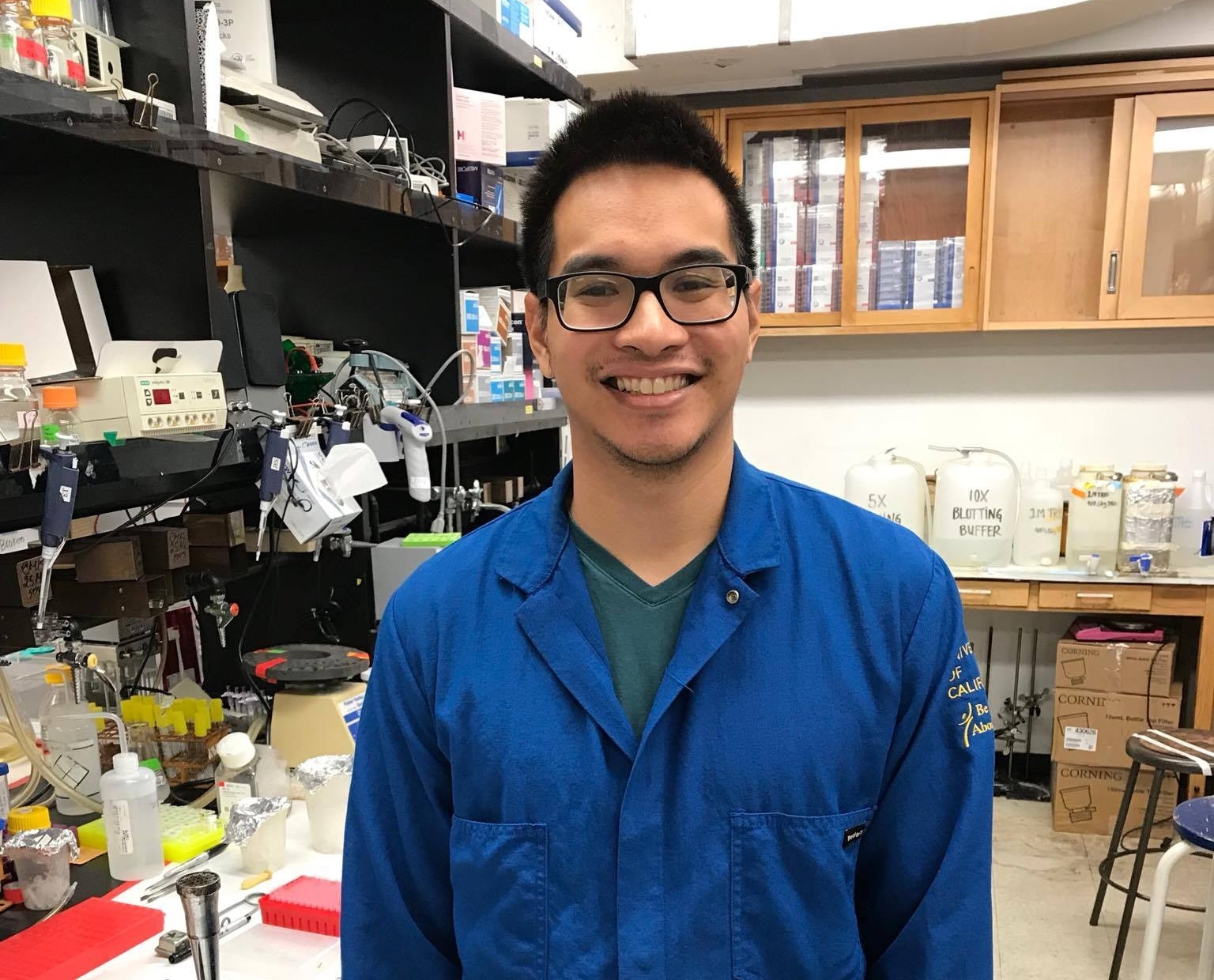 Principles of Blue Native-PAGE