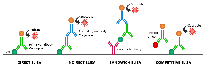 Principles of ELISA(s)