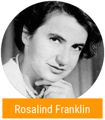 Ten Women that Changed the World with their Contributions to STEM