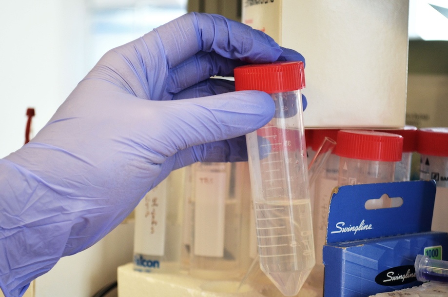 A 10-Step "Protocol" for Antibody Search