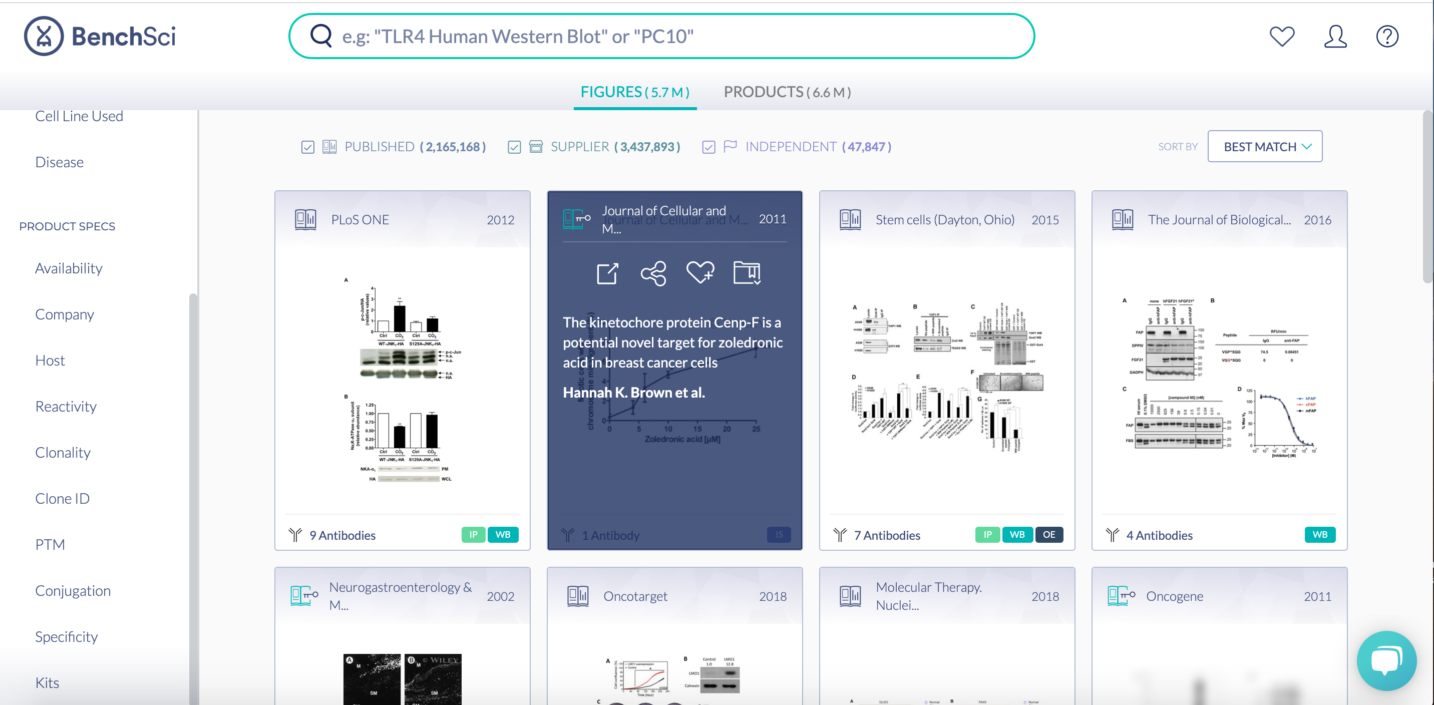 Searching on BenchSci Just Got Easier!